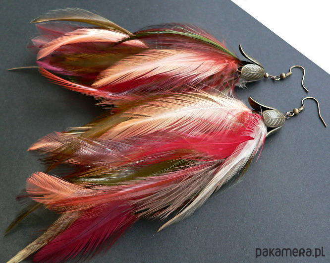 Pióra indianka 3513464 - Pakamera.pl