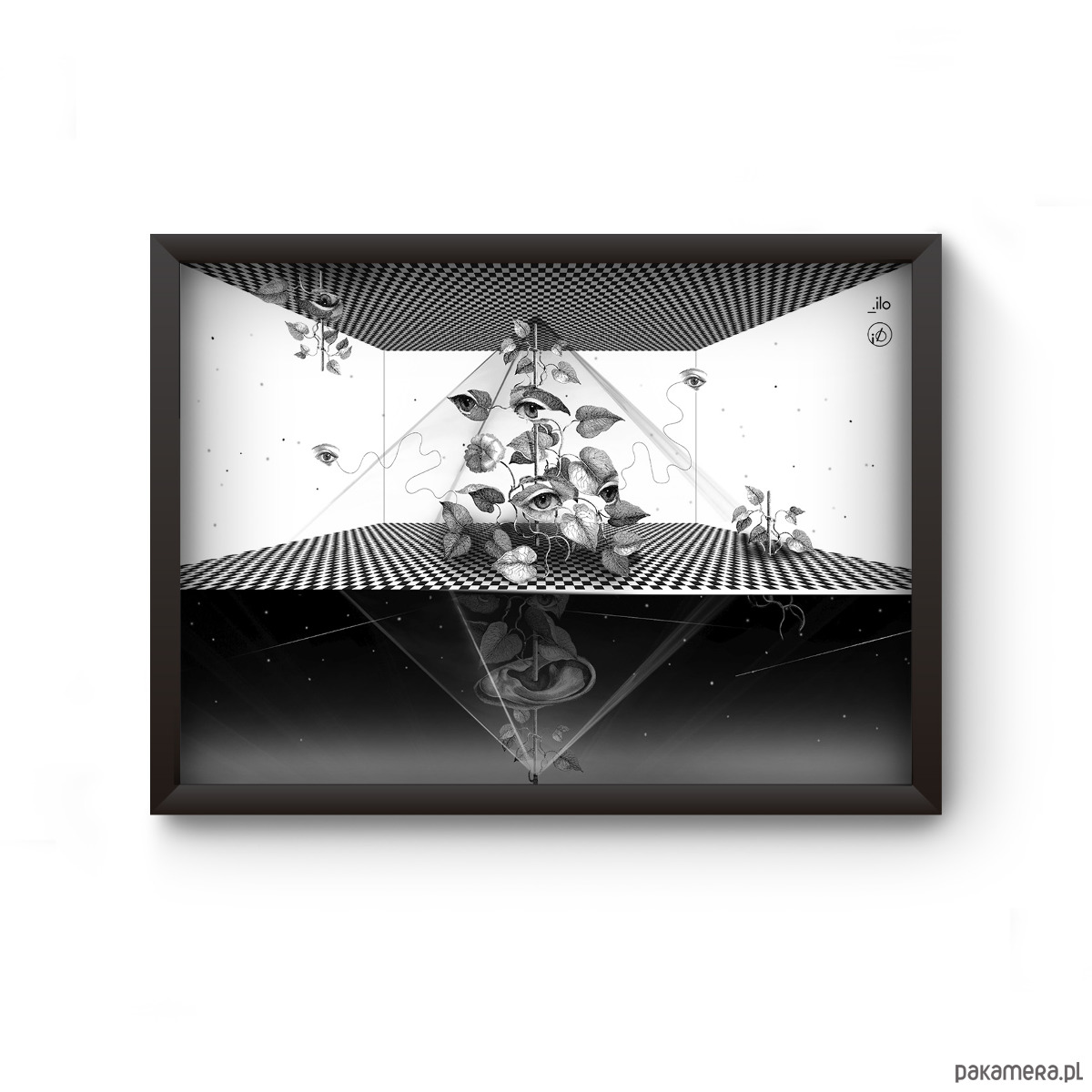 Grafika 'Oko za oko' - Pakamera.pl