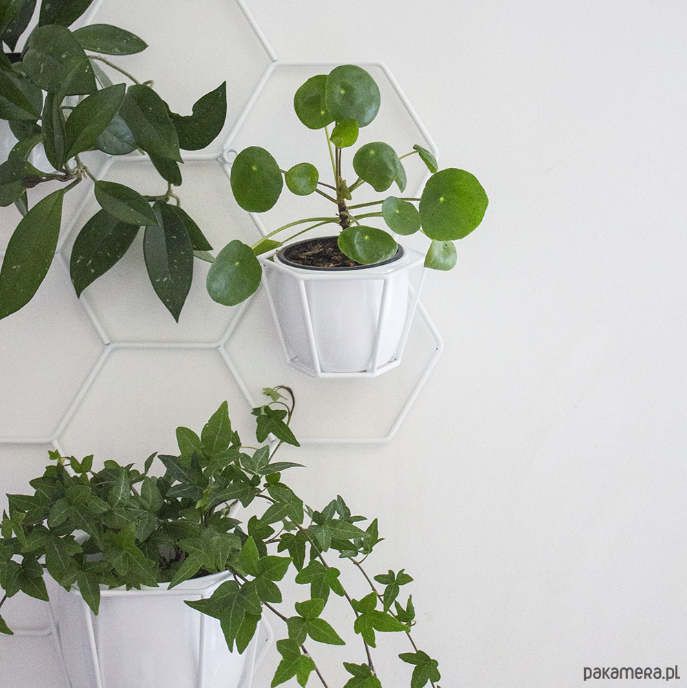 Mała osłonka do kwietnika wiszącego 10cm 2867100 - Pakamera.pl