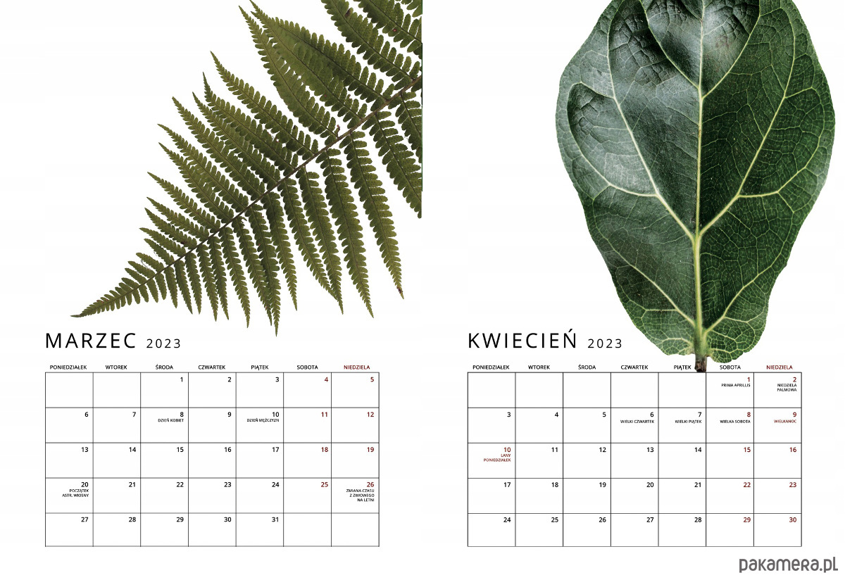 Kalendarz Botaniczny 2023 ścienny na spirali A3 - Pakamera.pl