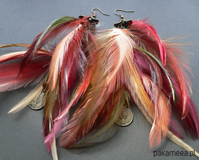 Pióra indianka 3513464 - Pakamera.pl